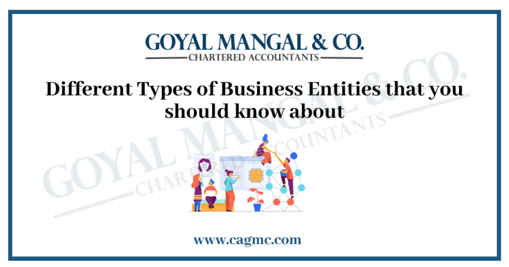 Different Types of Business Entities that you should know about - CAGMC