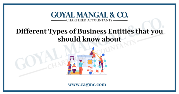 Different Types of Business Entities that you should know about - CAGMC