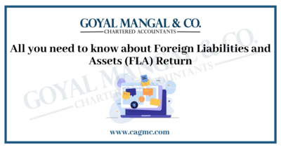 All you need to know about Foreign Liabilities and Assets (FLA) Return